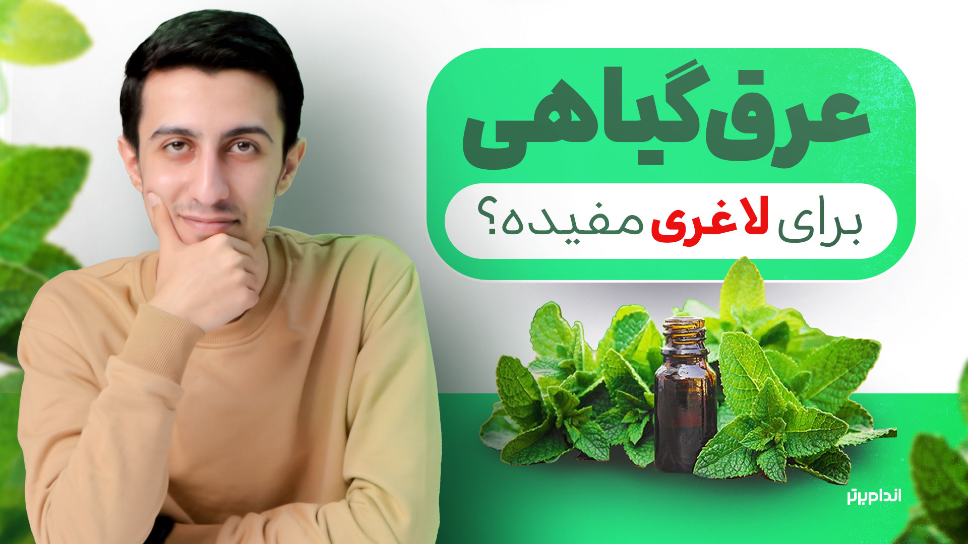 13 عرق گیاهی برای لاغری شکم و پهلو + قویترین گیاه لاغری - اندام برتر